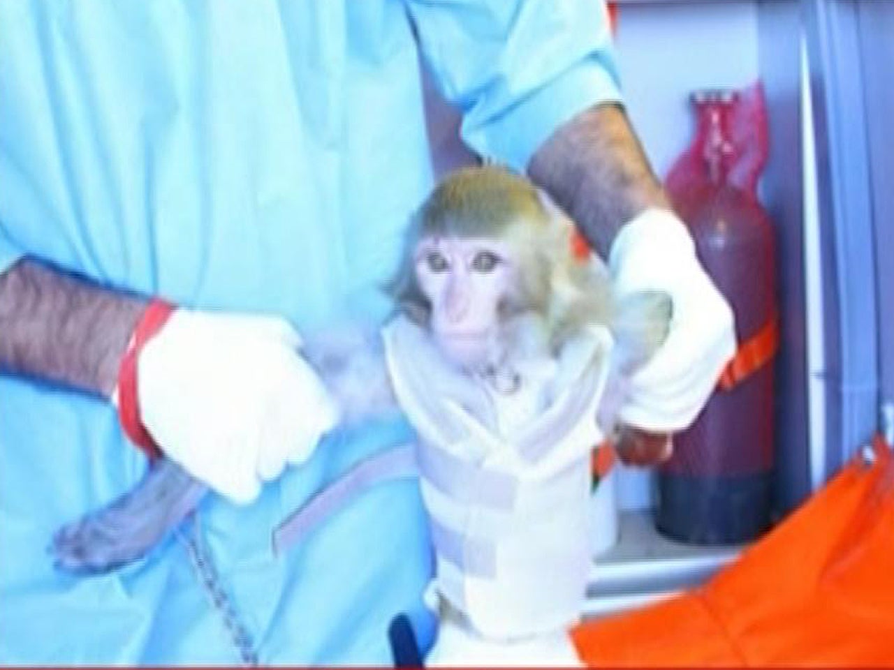 Iran: We've sent a monkey to space - CBS News