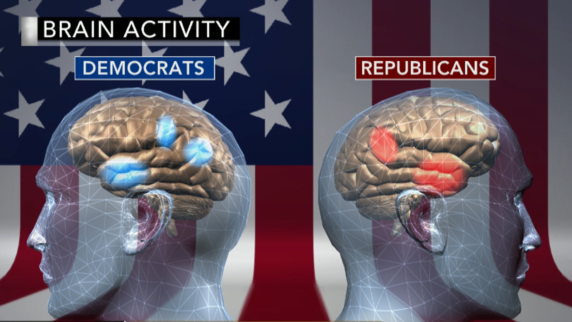 Politically predetermined? Your brain on politics - CBS News
