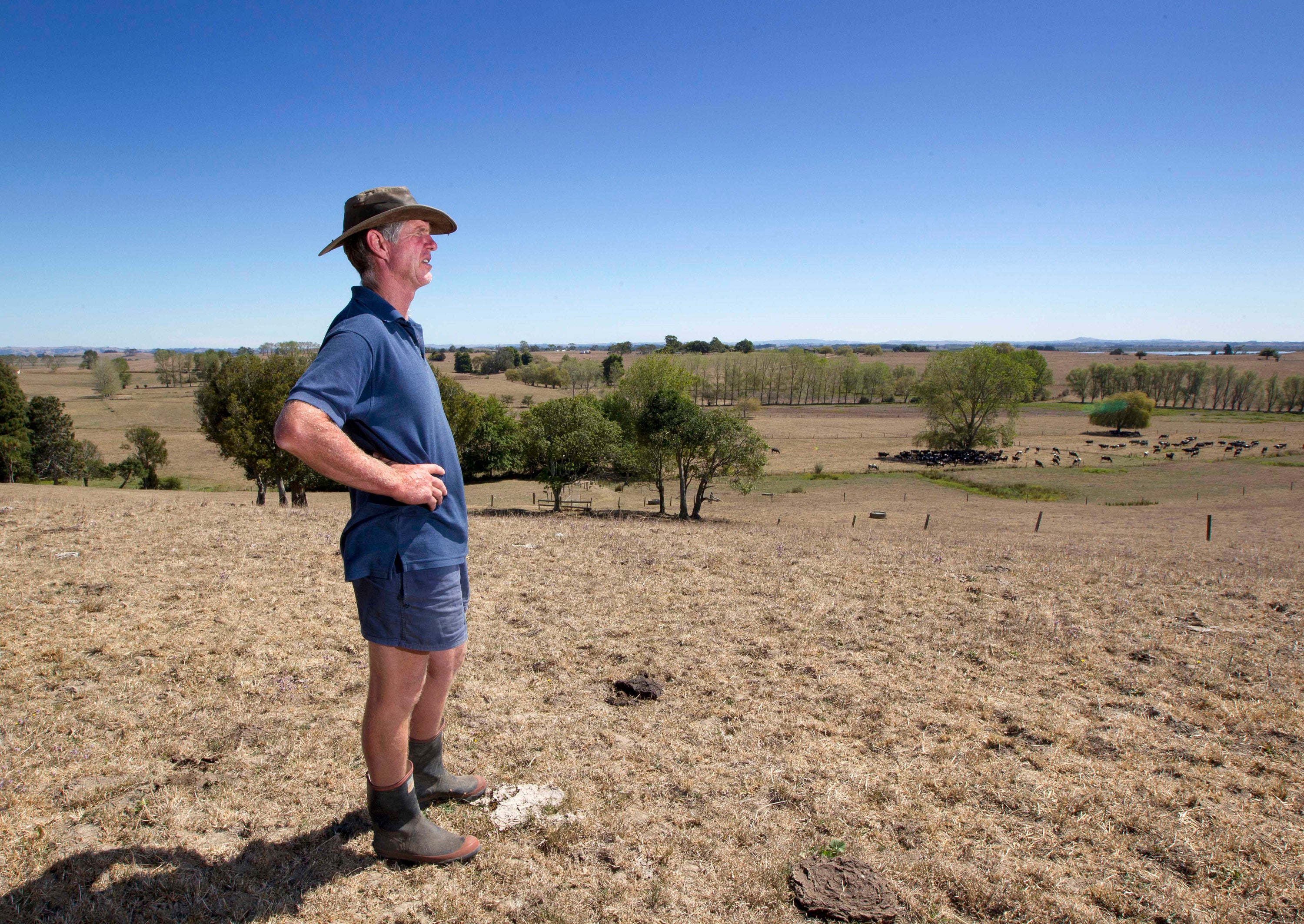 New Zealand suffering biggest drought in 30 years - CBS News
