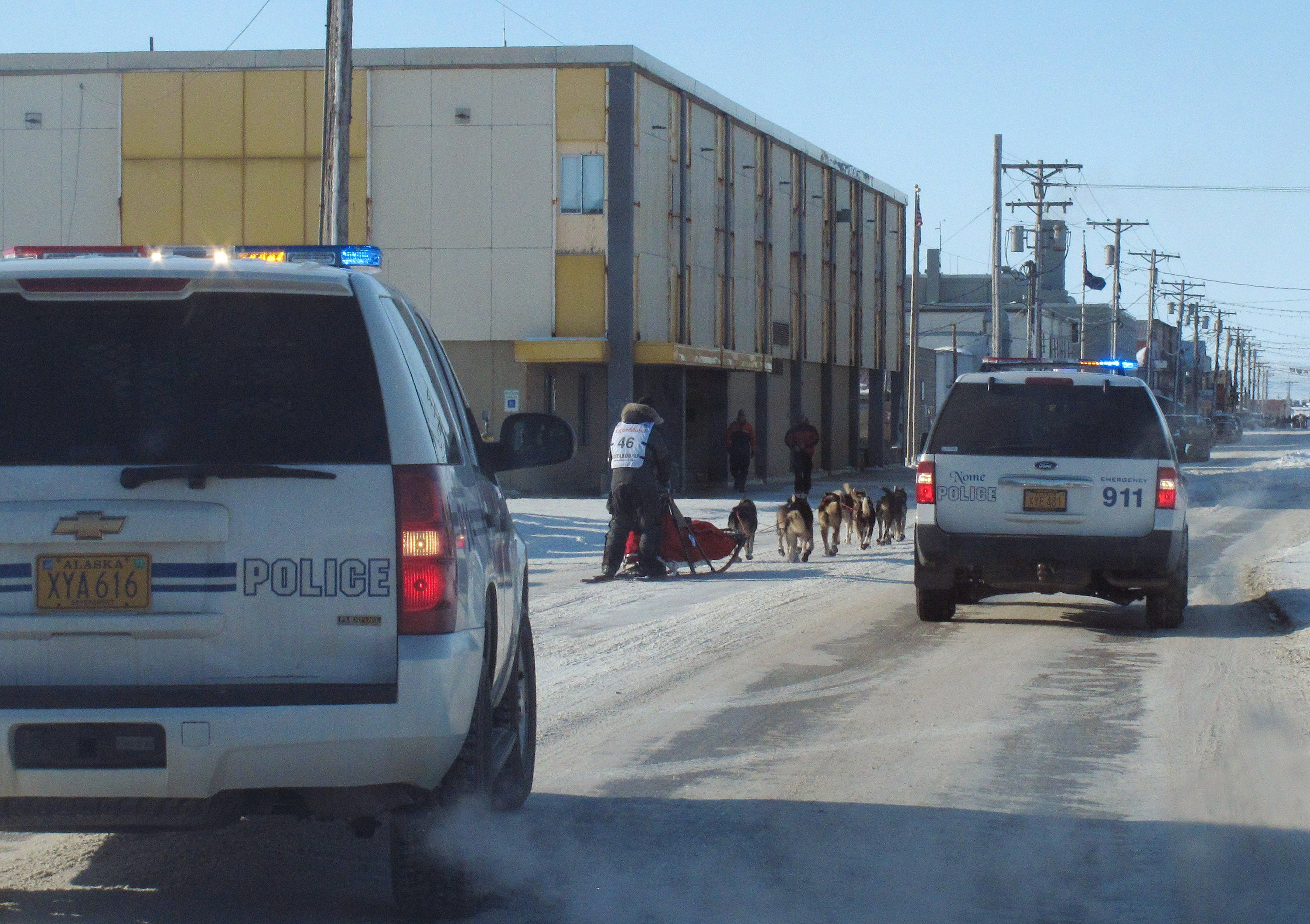 Iditarod dog died of asphyxiation, buried in snow - CBS News