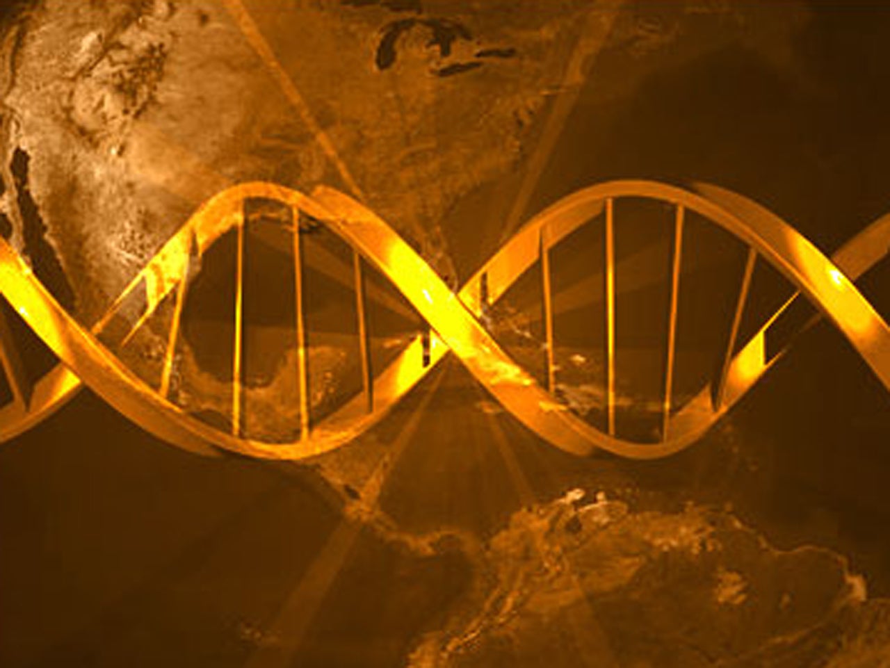 British cat DNA database helps convict killer - CBS News