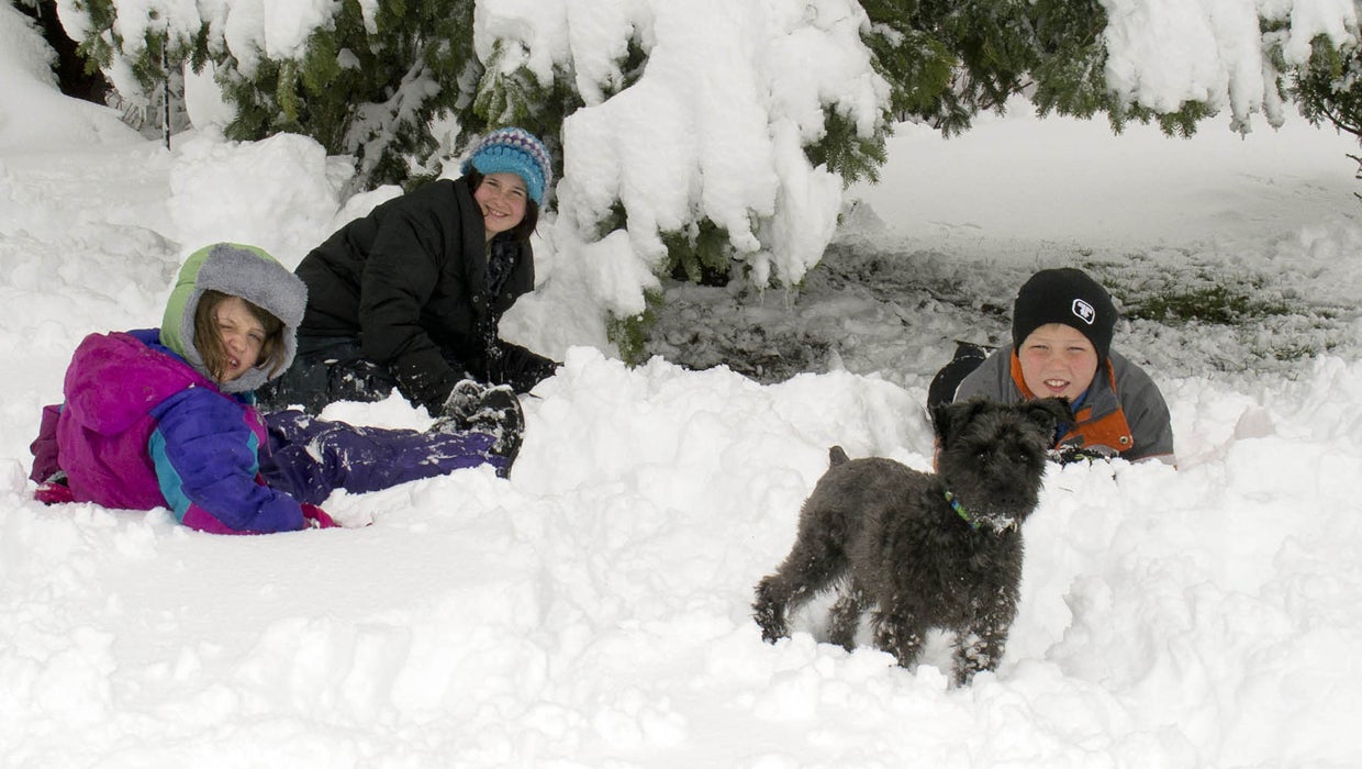 Minnesota and Wisconsin get snow day in May - CBS News