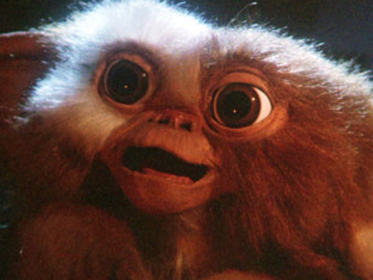 "Gremlins" may spawn again - CBS News