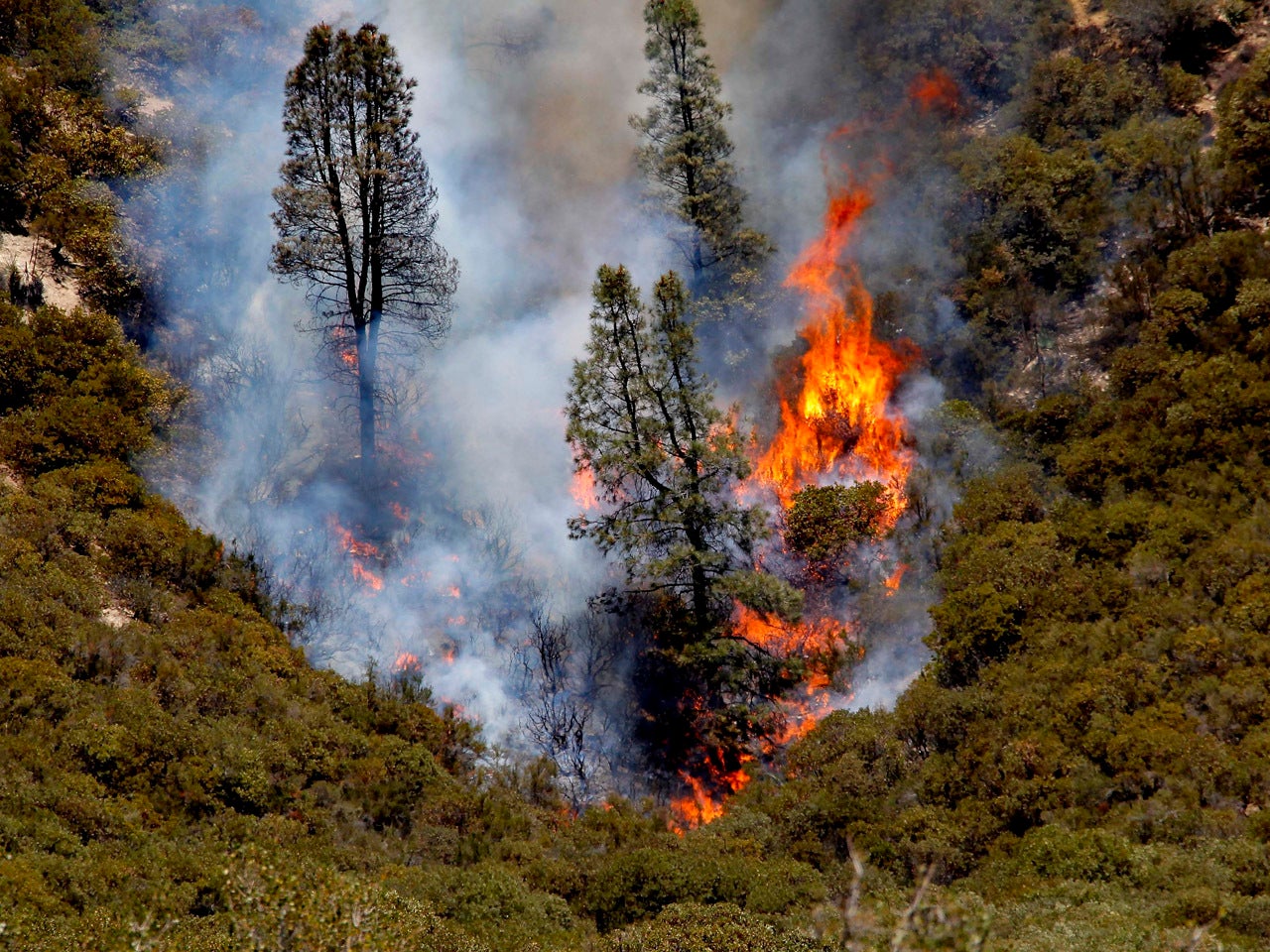 Thousands head home as large wildfire calms north of L.A. - CBS News