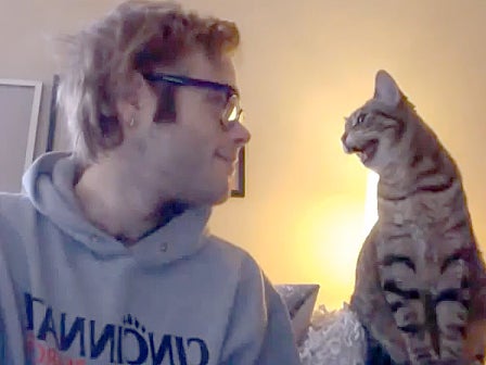 Cat plays game of "boop" and kitten fed by bottle - CBS News