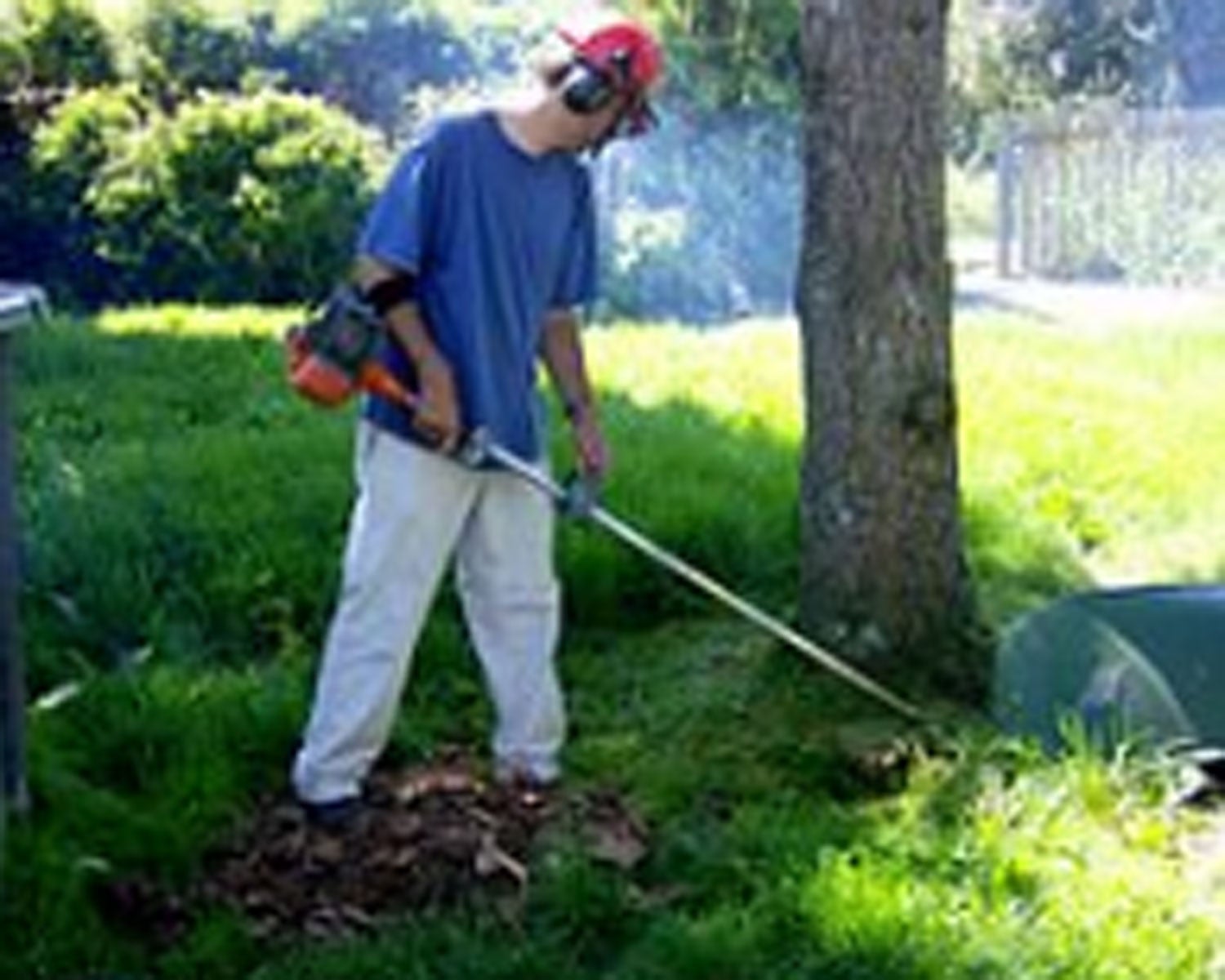 "Tools of the Trade": Bandit brandishes weed whacker to rob N.M. store ...
