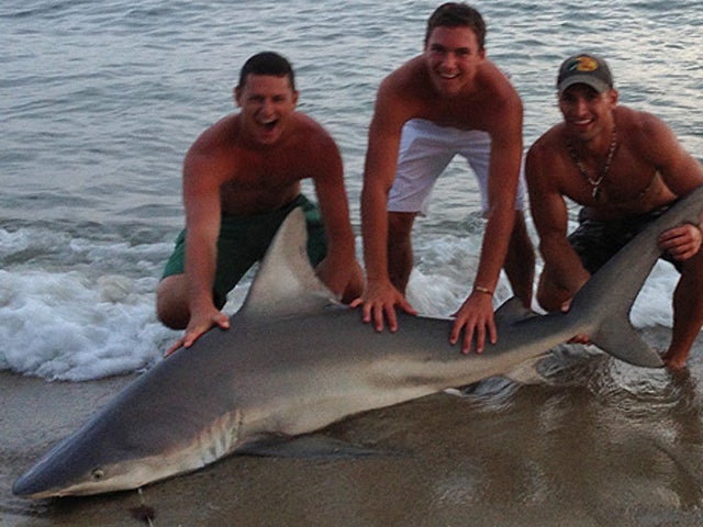 Mass. man fights shark and brings it to shore - CBS News