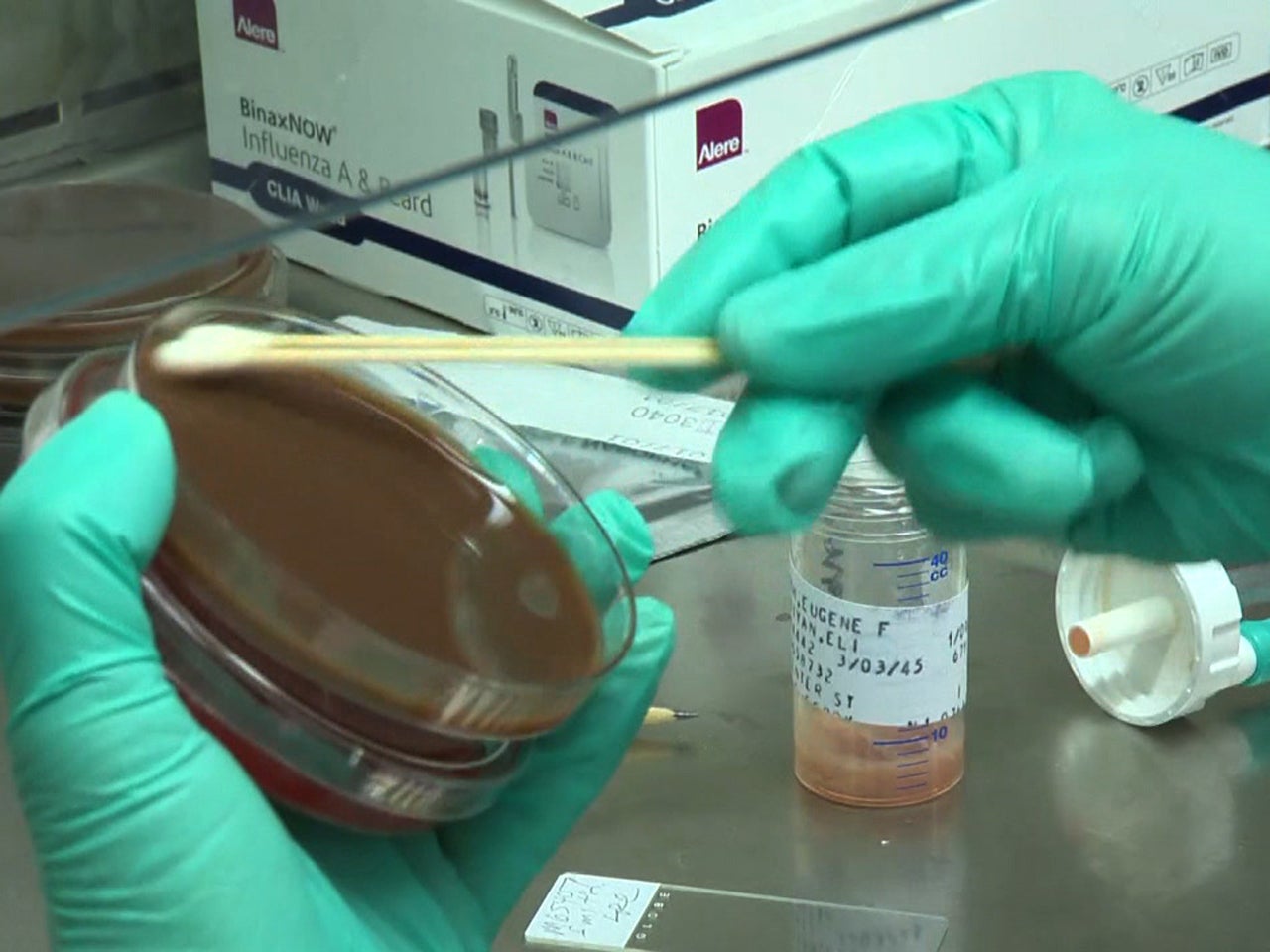 Universal flu vaccine may be available in 5 years, scientists report ...