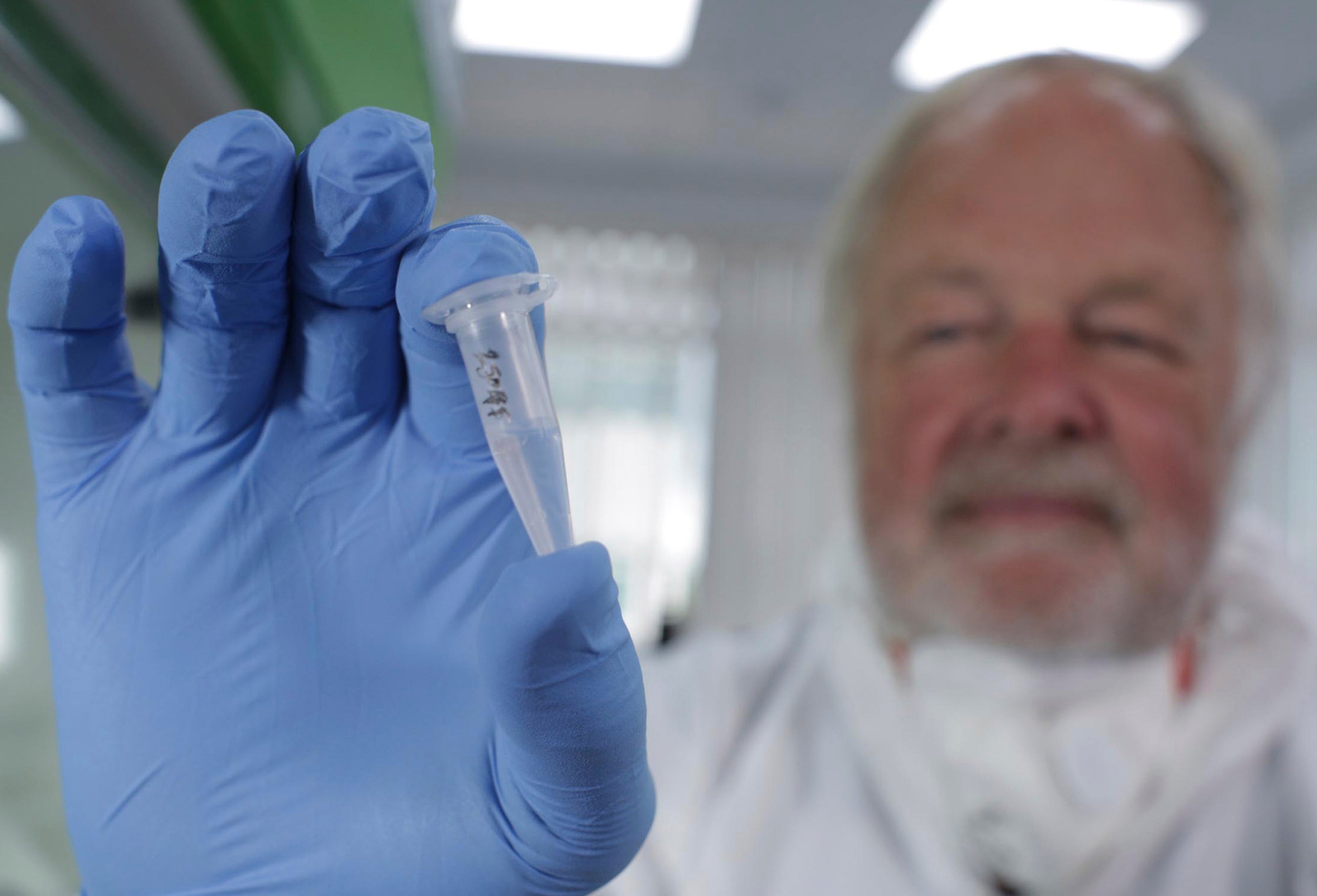 DNA links mysterious Yeti to ancient bear, scientist claims - CBS News