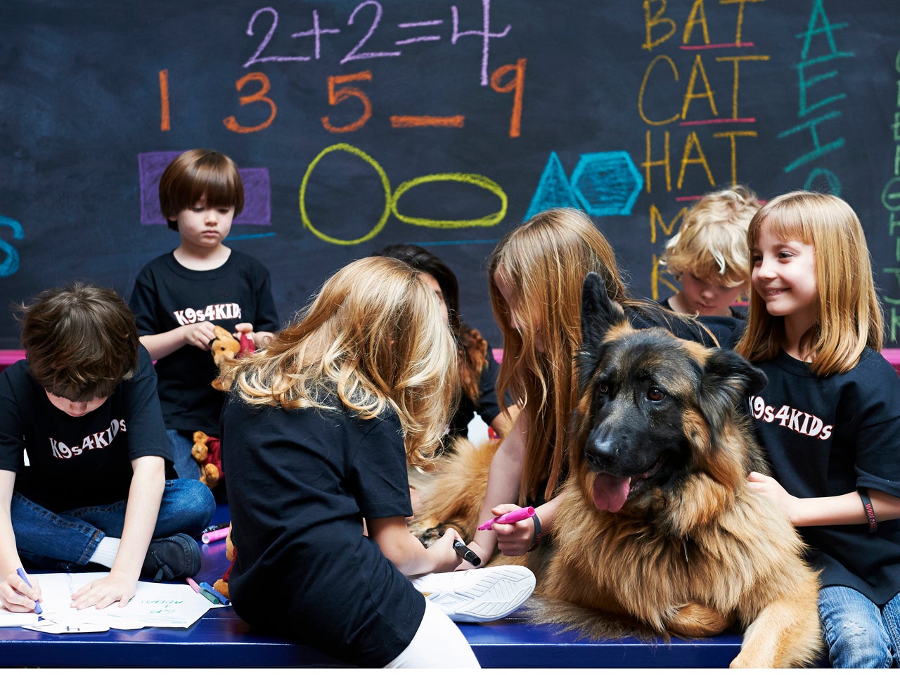 Advocates believe dogs will make schools safer - CBS News