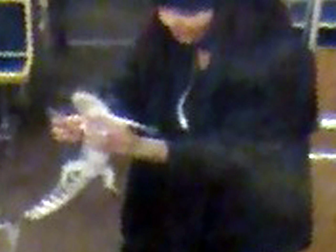 Chicago alligator's airport travel companion caught on camera? - CBS News