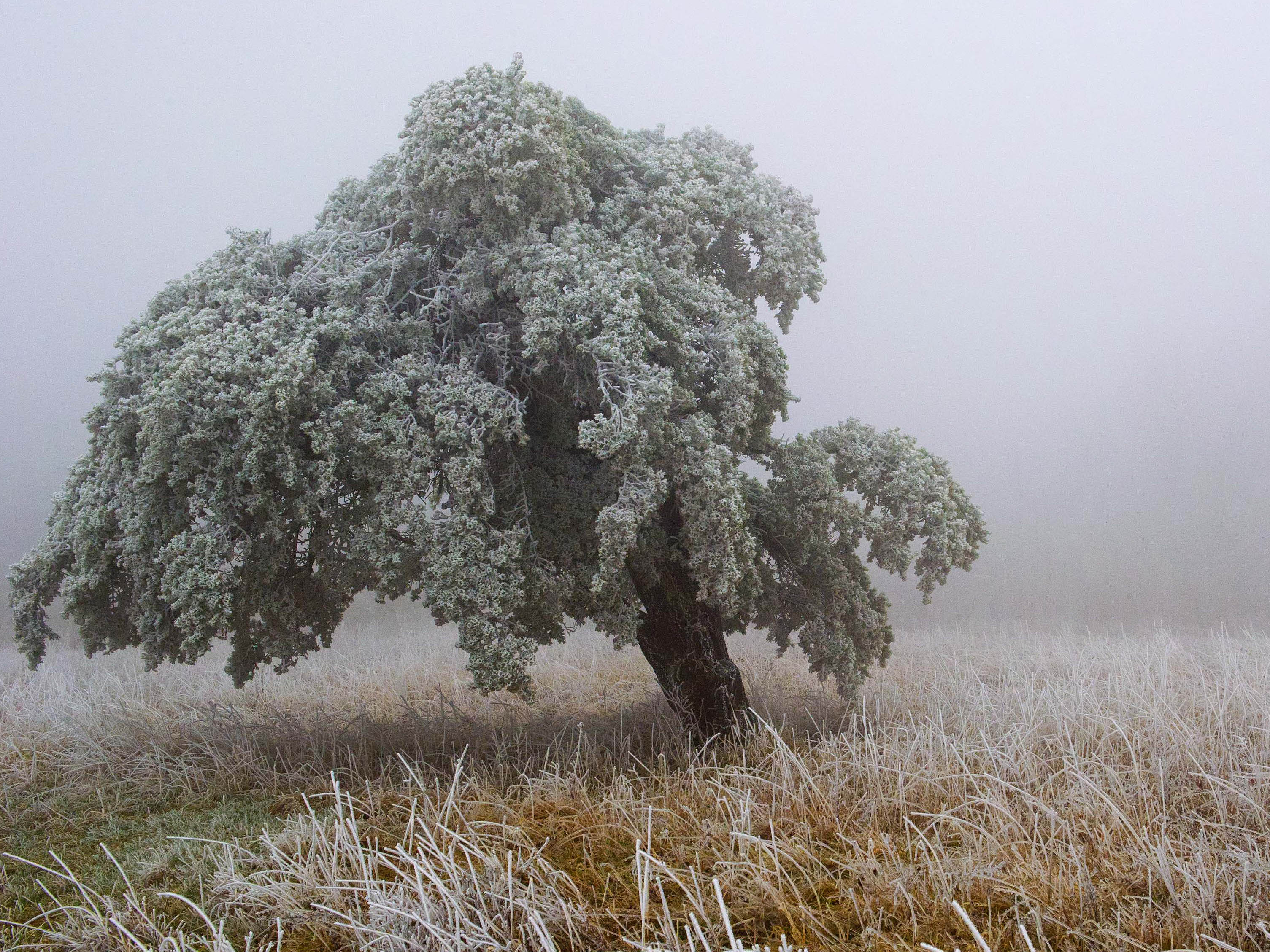 Deep freeze felt in large swath of U.S. - CBS News