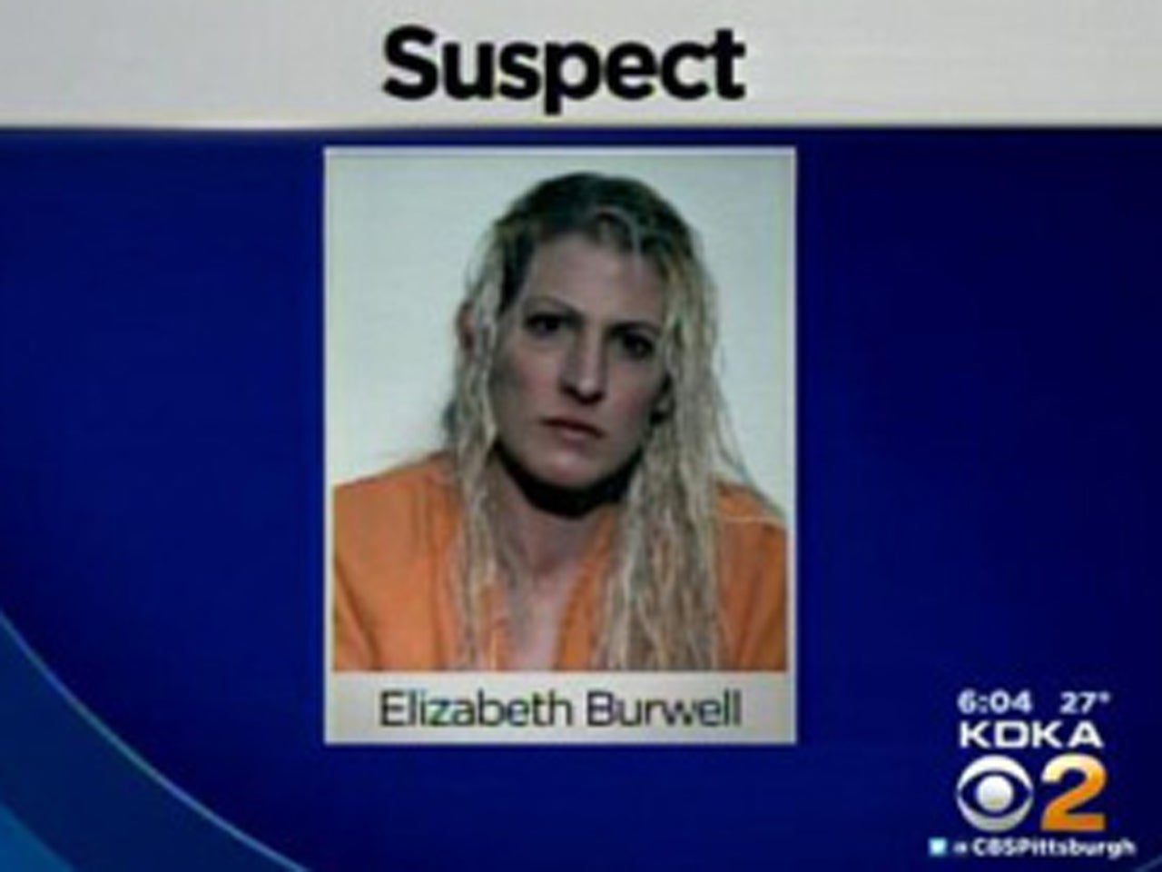 Police in Peters Township, Pa. say Elizabeth Burwell, 32, drove drunk ...