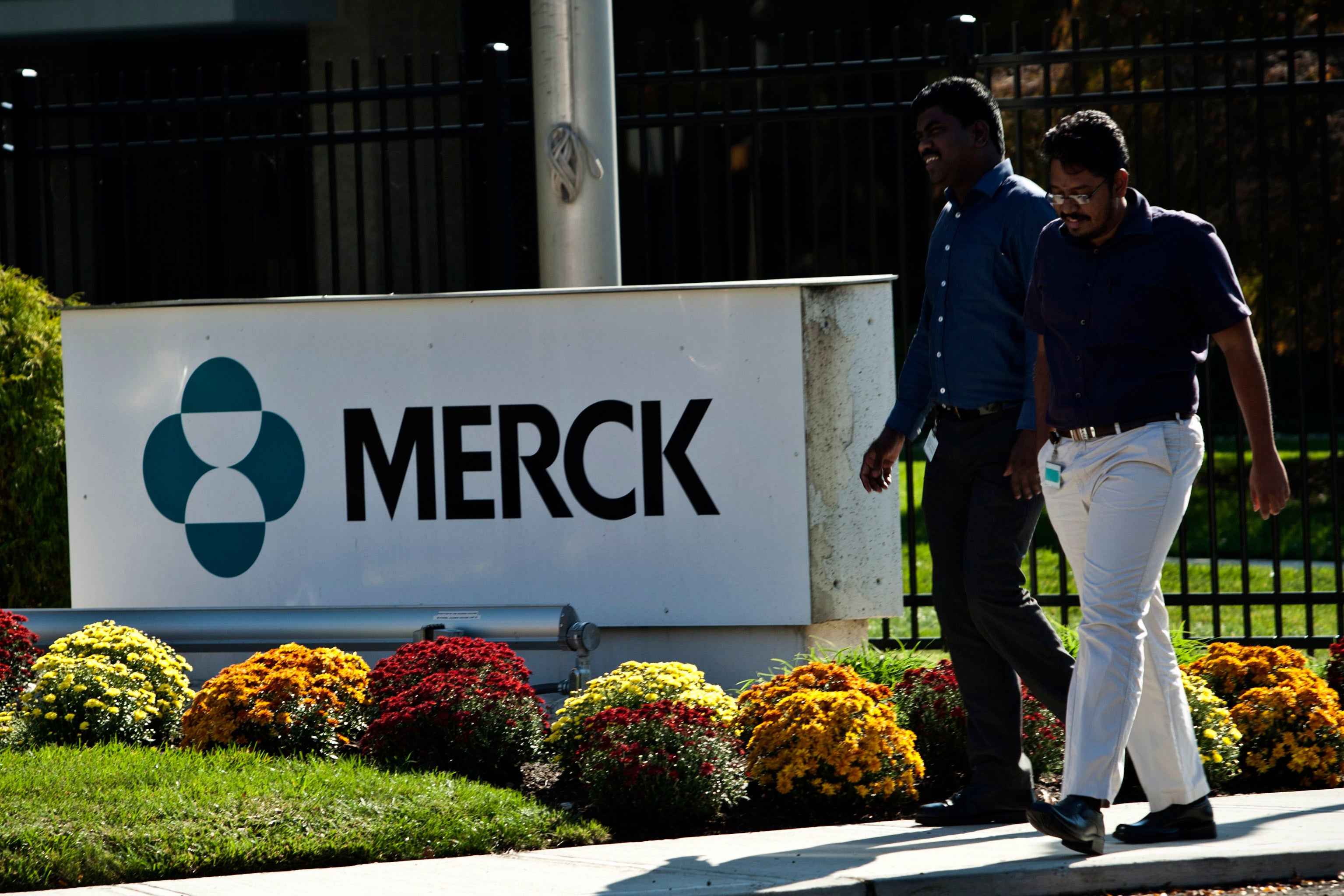 Merck recalls all Liptruzet cholesterol drugs over effectiveness ...