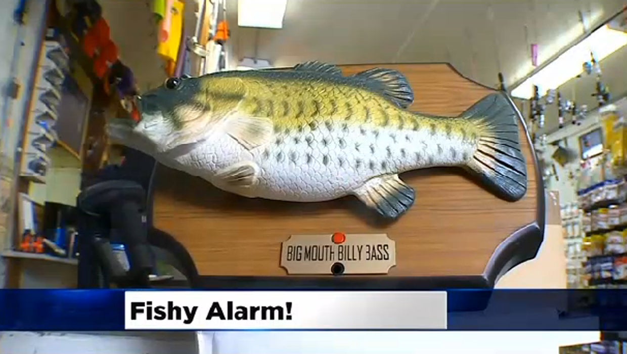 Novelty singing fish deters burglar at bait and tackle shop - CBS News