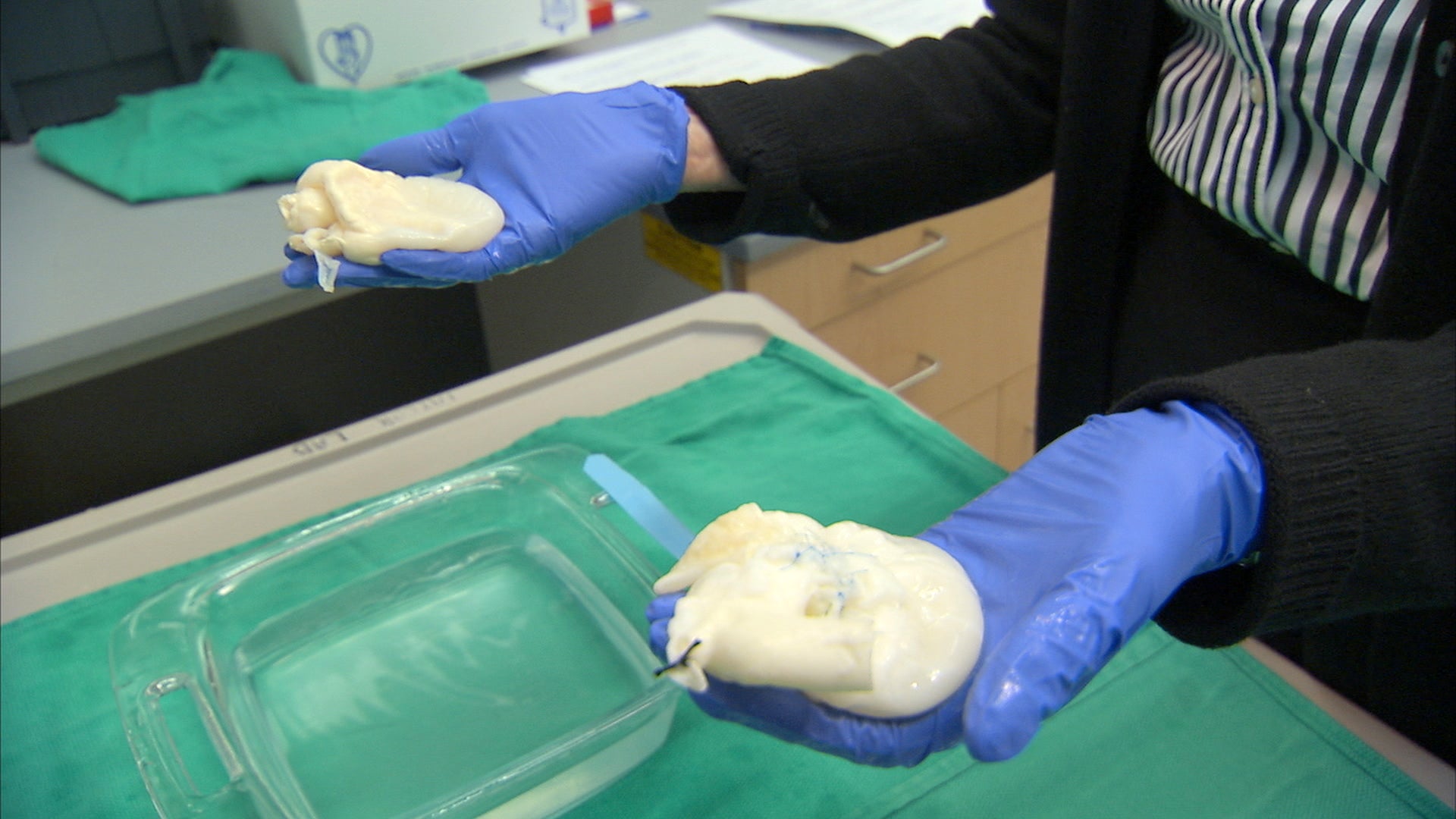 Who has the softer heart? - CBS News