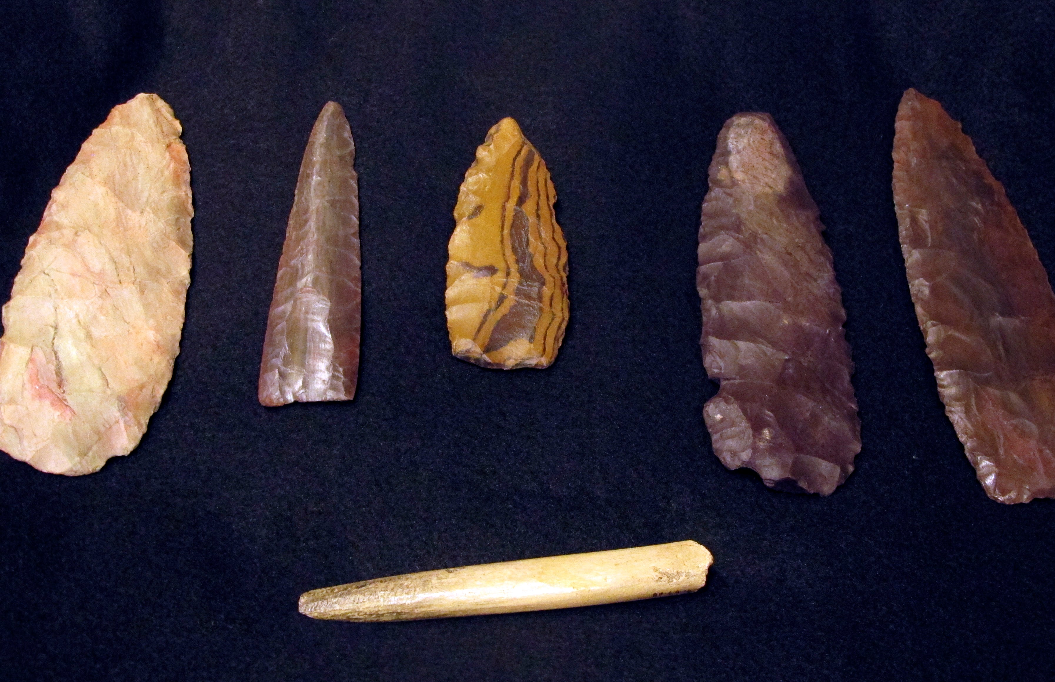 12,000-year-old baby DNA from ancient Clovis culture in Montana unlocks ...