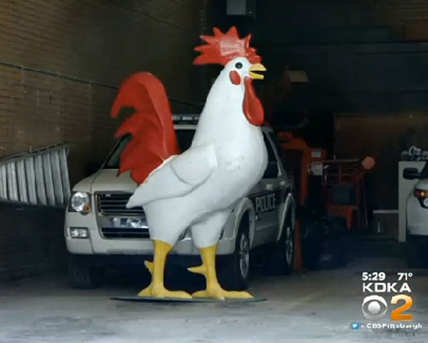 Rooster, 12 feet tall, ripped off in Charleroi, Pennsylvania, near ...
