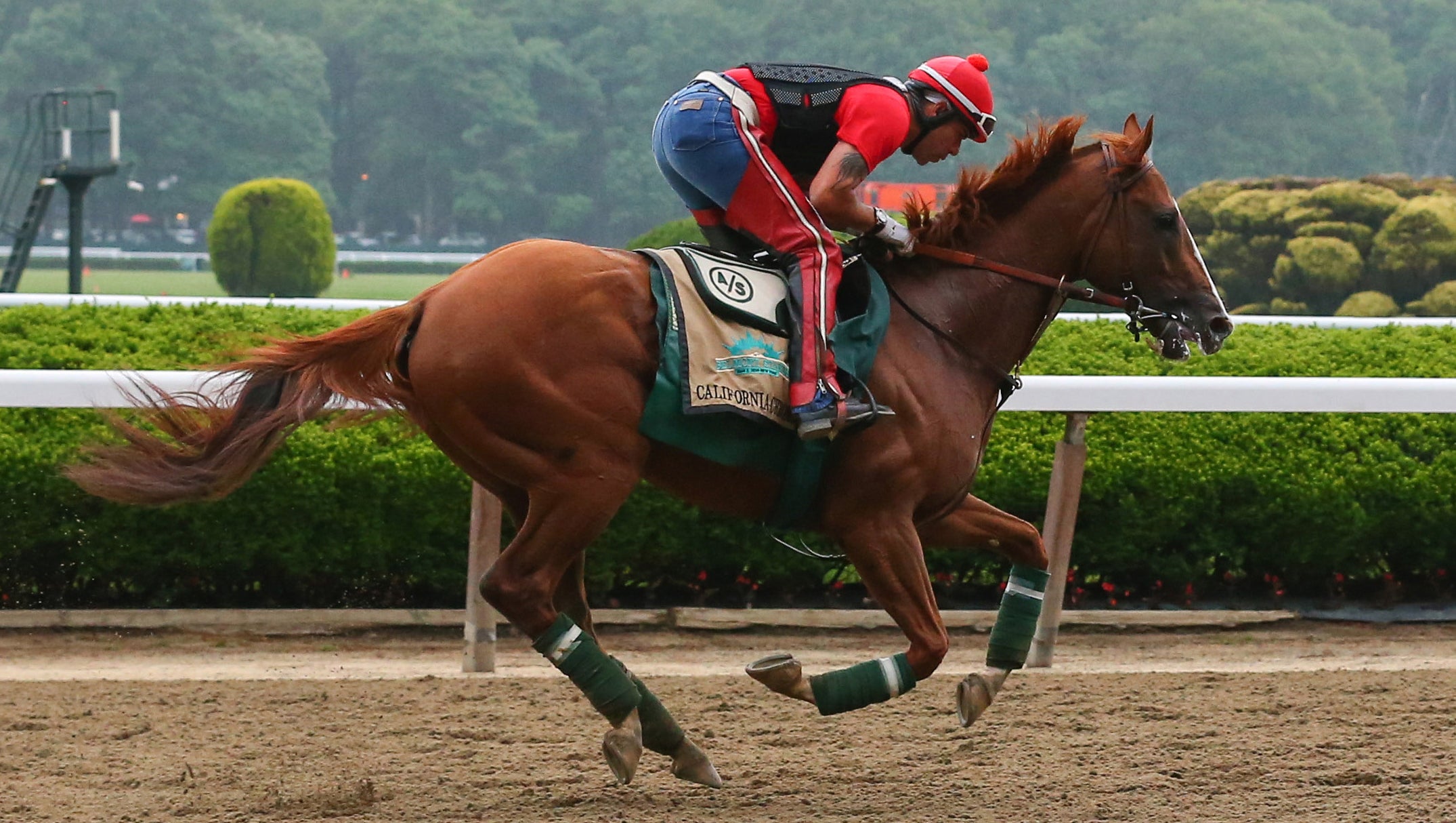 Can California Chrome save the sport of kings? - CBS News