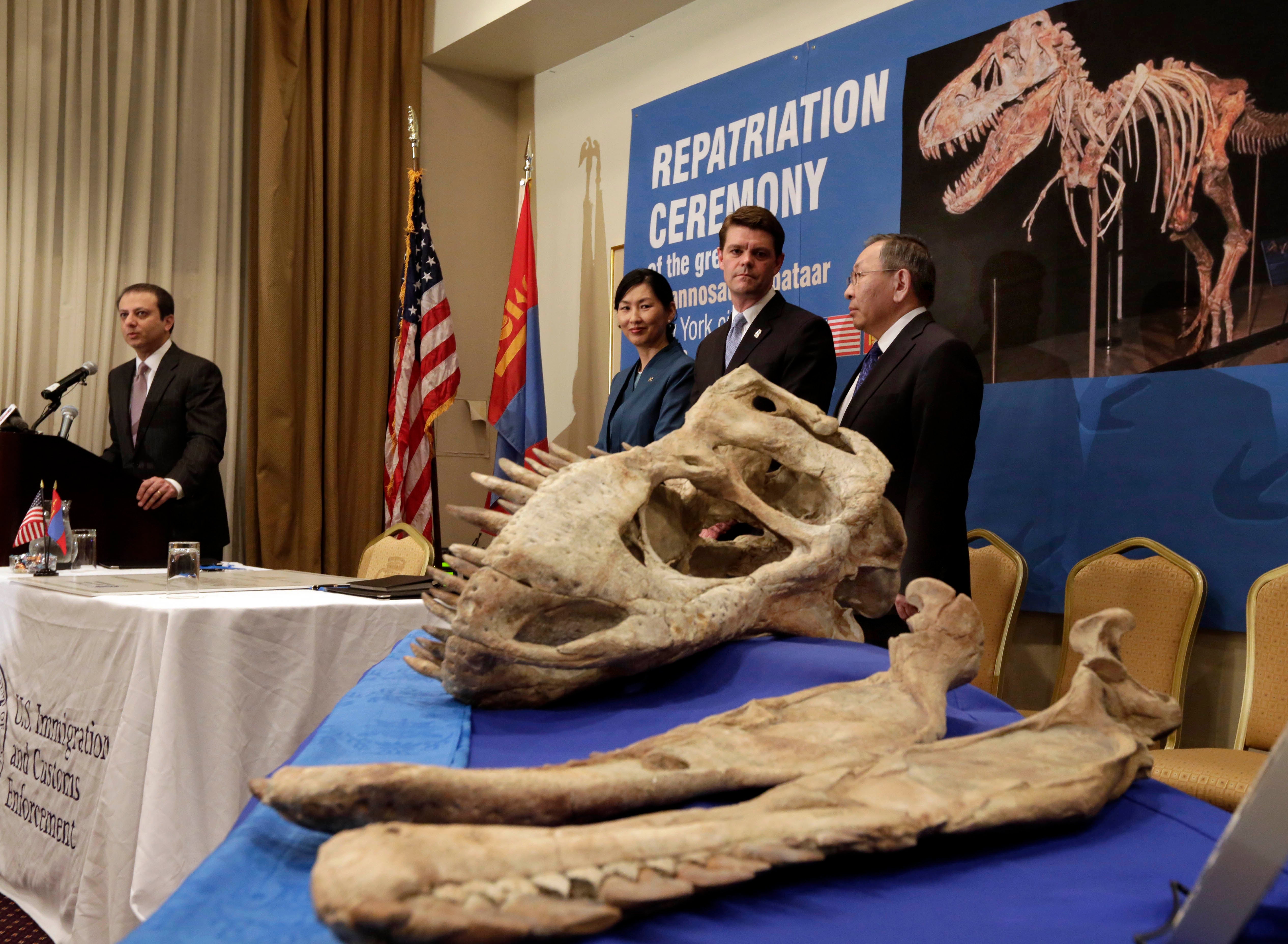 80-million-year-old dinosaur skeletons returning home to Mongolia - CBS ...