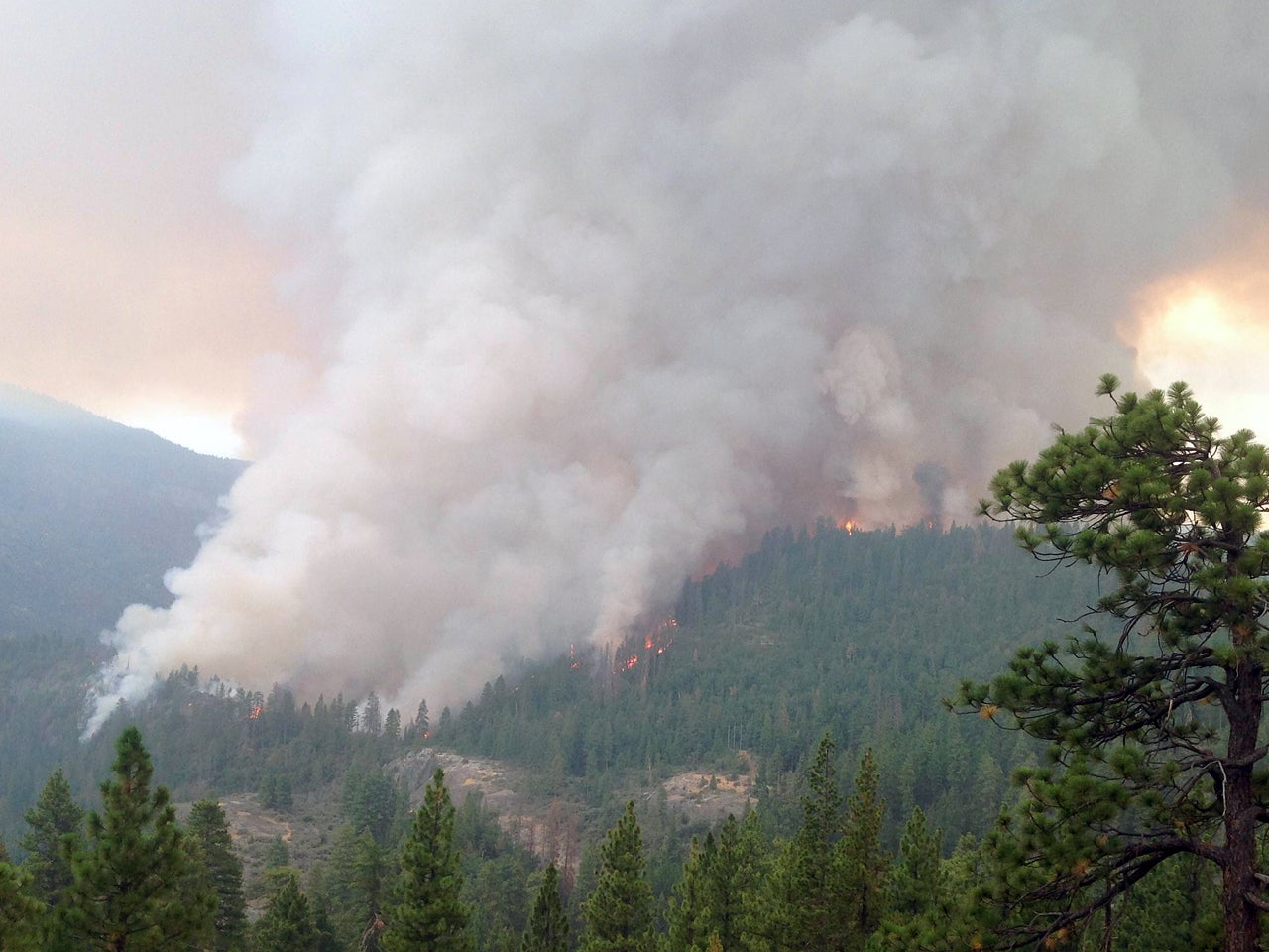 Yosemite National Park wildfire in California weakens after big gains ...