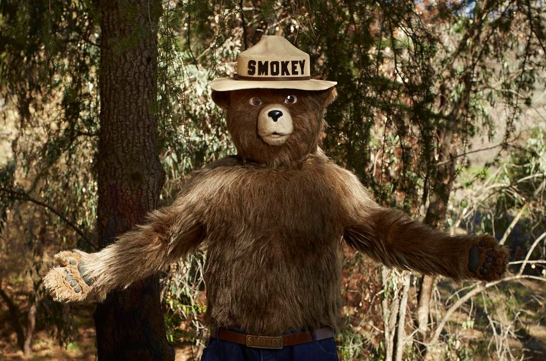 Smokey the Bear turns 70 years old, gets makeover - CBS News