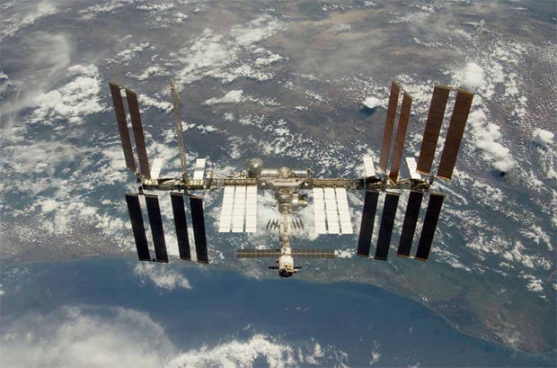 Rats in spaaace! NASA experiments to involve rodents and more - CBS News