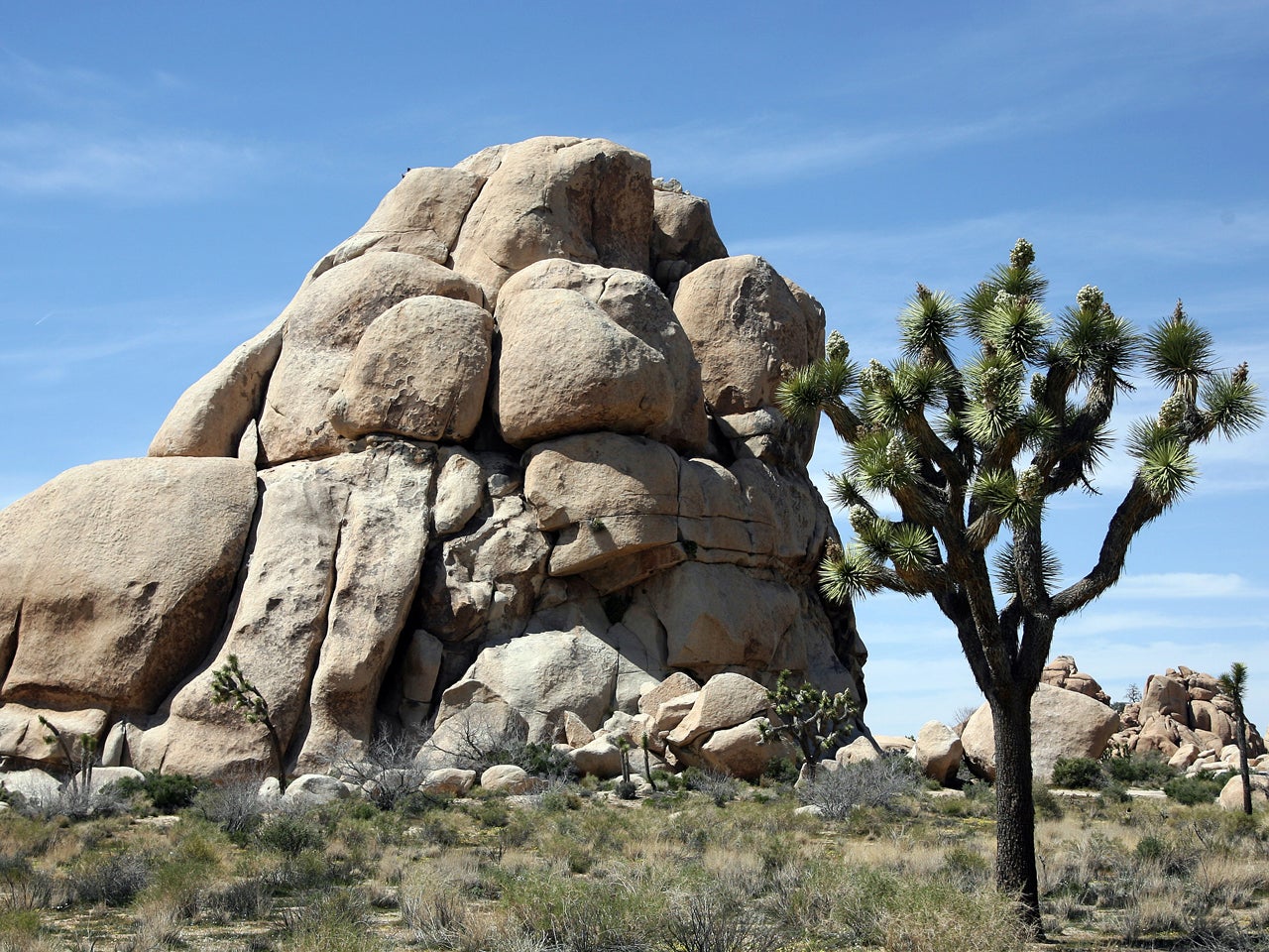 U.S. Forest Service wilderness proposal sparks First Amendment fight ...