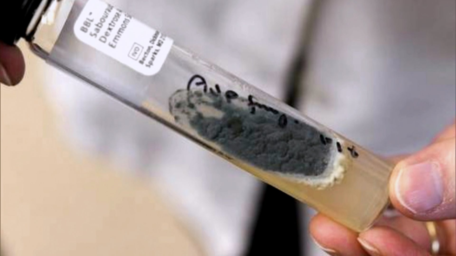 The contaminated lab that produced lethal drugs - CBS News