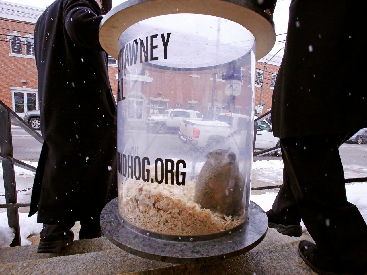 Punxsutawney Phil makes Groundhog Day "forecast" - CBS News