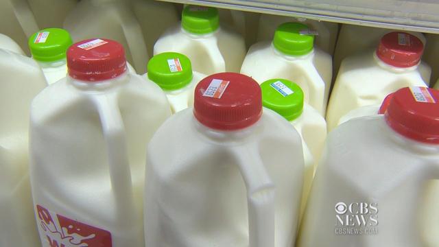 More families say no to cow's milk - CBS News