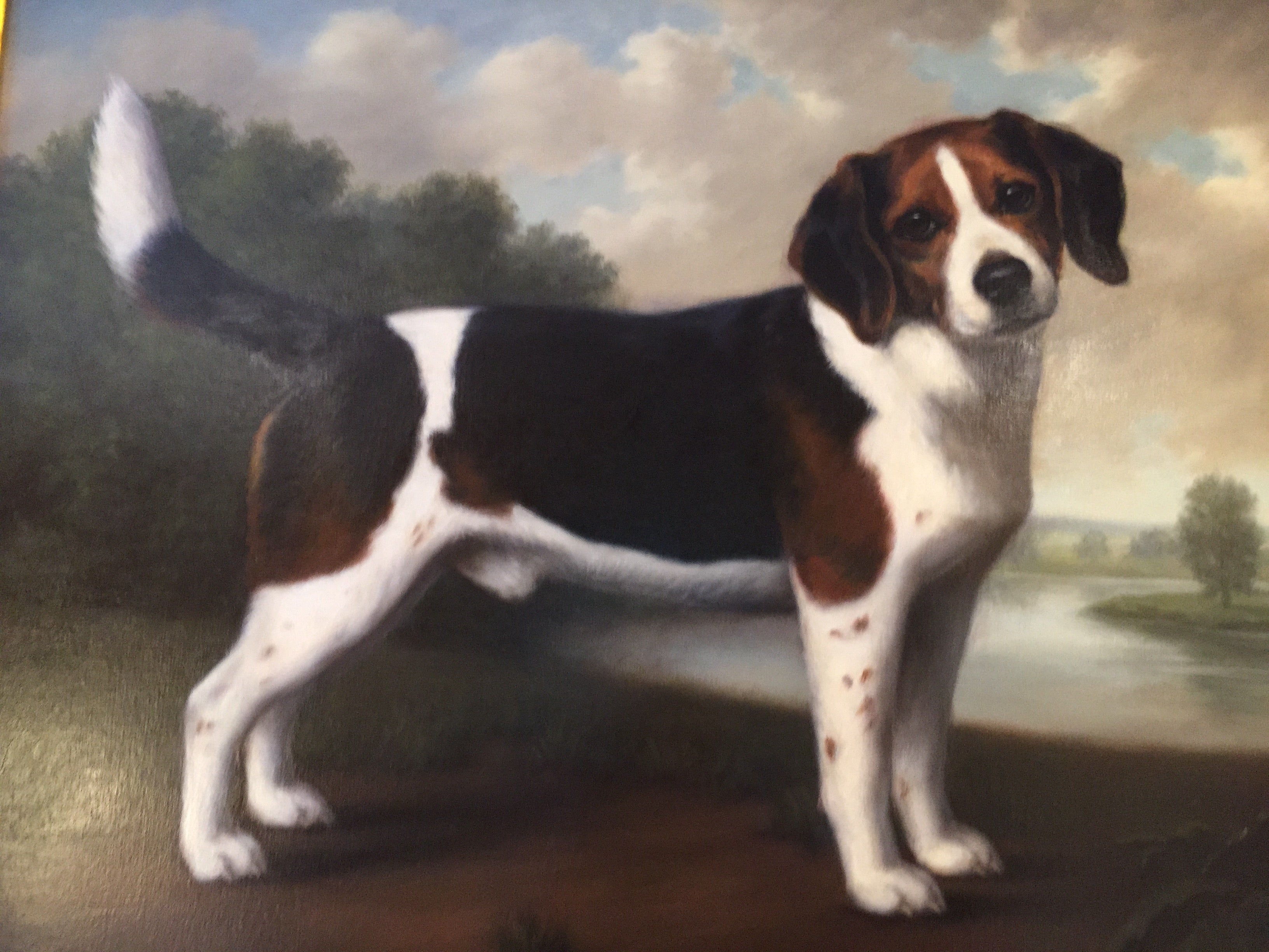 A note about our favorite Beagles - CBS News