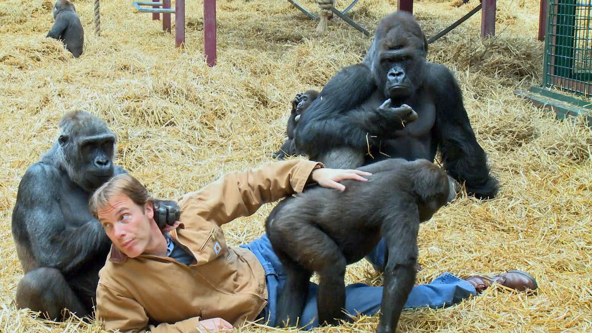 Back to the Wild - CBS News