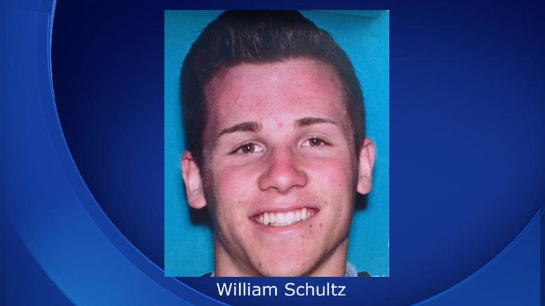 William Schultz, California teen, says he fatally stabbed boy, 9, to ...
