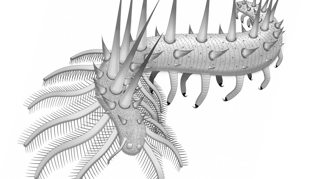Spiky armored worm had 30 legs, will haunt your dreams - CBS News