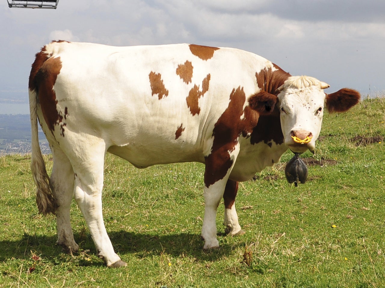 Swiss Army builds reservoirs in Switzerland Jura Mountains to save ...