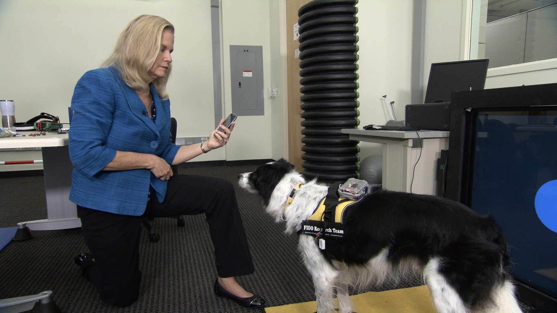 The FIDO Project: Training dogs to be lifesavers - CBS News