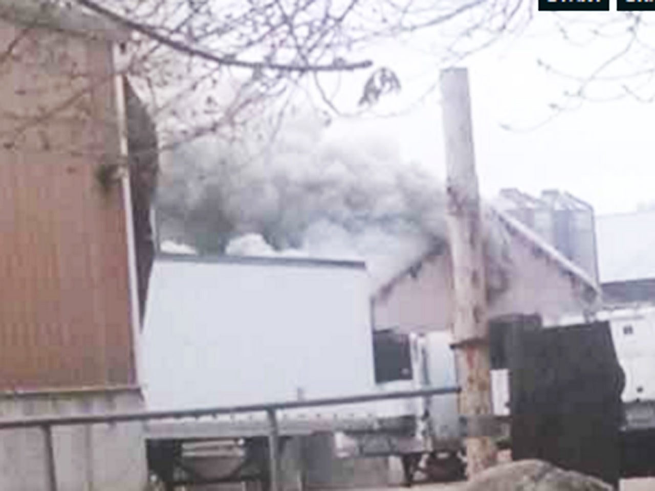 Tens of thousands of chickens die in egg farm fire - CBS News