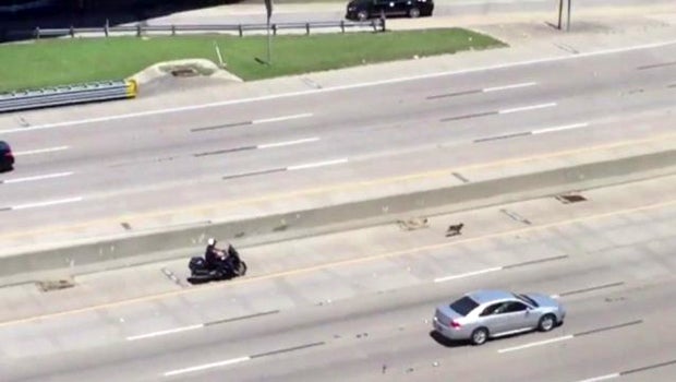 Texas police officer rescues dog darting through traffic on highway ...