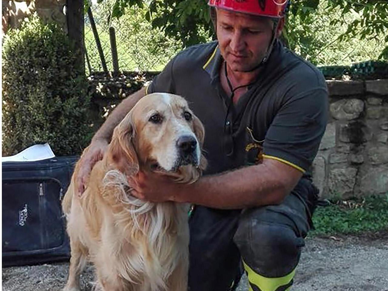 Italy earthquake: Miracle dog found alive in rubble 9 days after quake ...