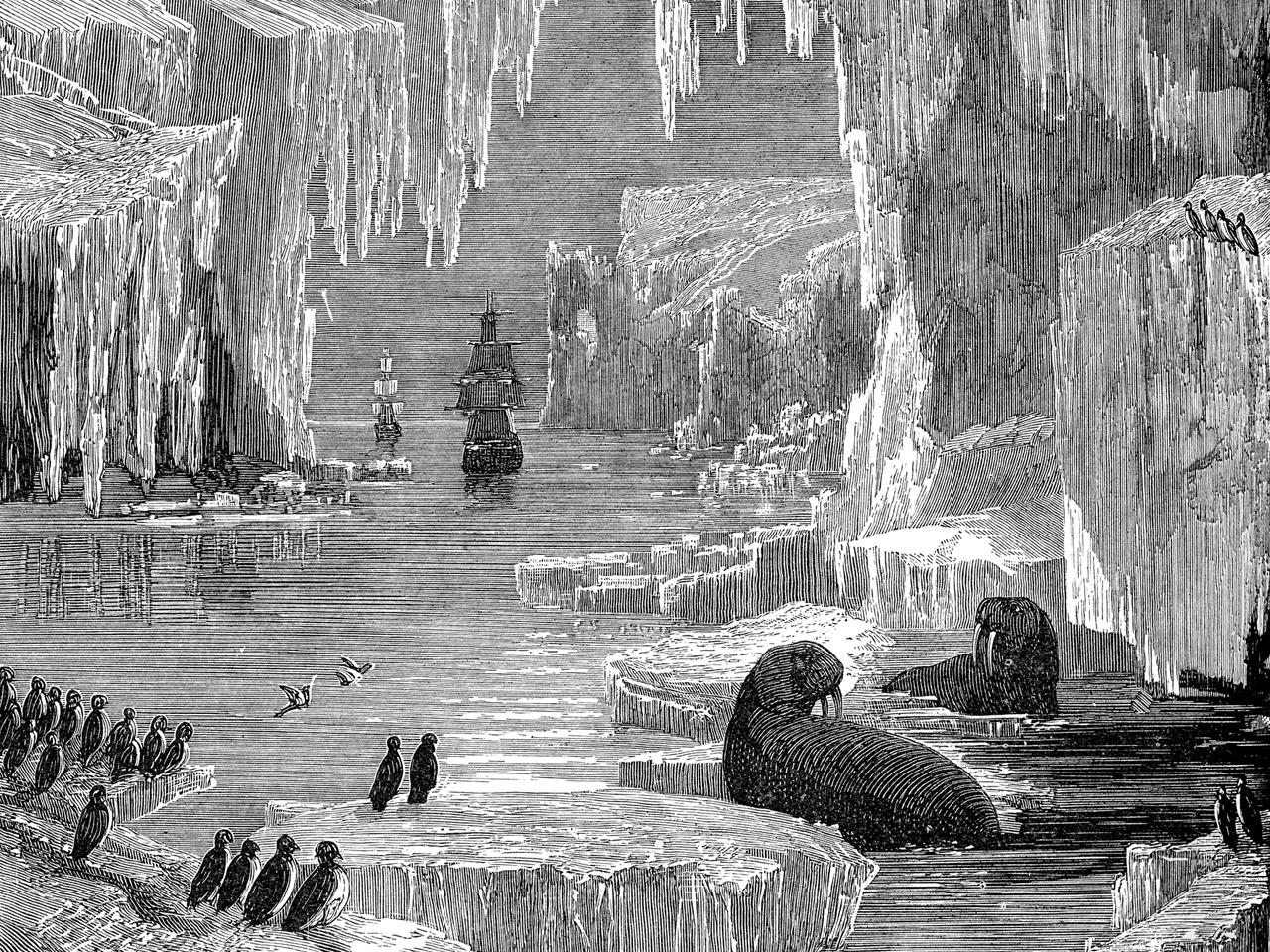 HMS Terror, British explorer Sir John Franklin doomed ship found in ...