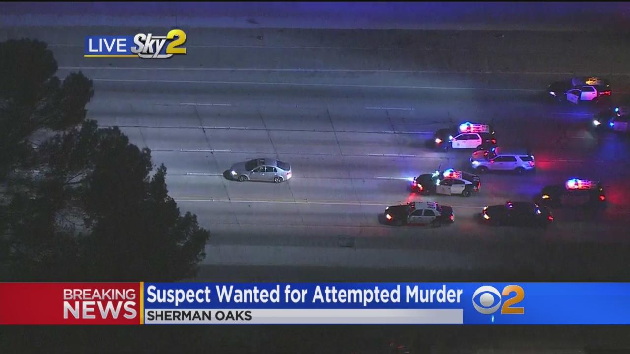 Los Angeles, California video shows police arrest attempted murder ...