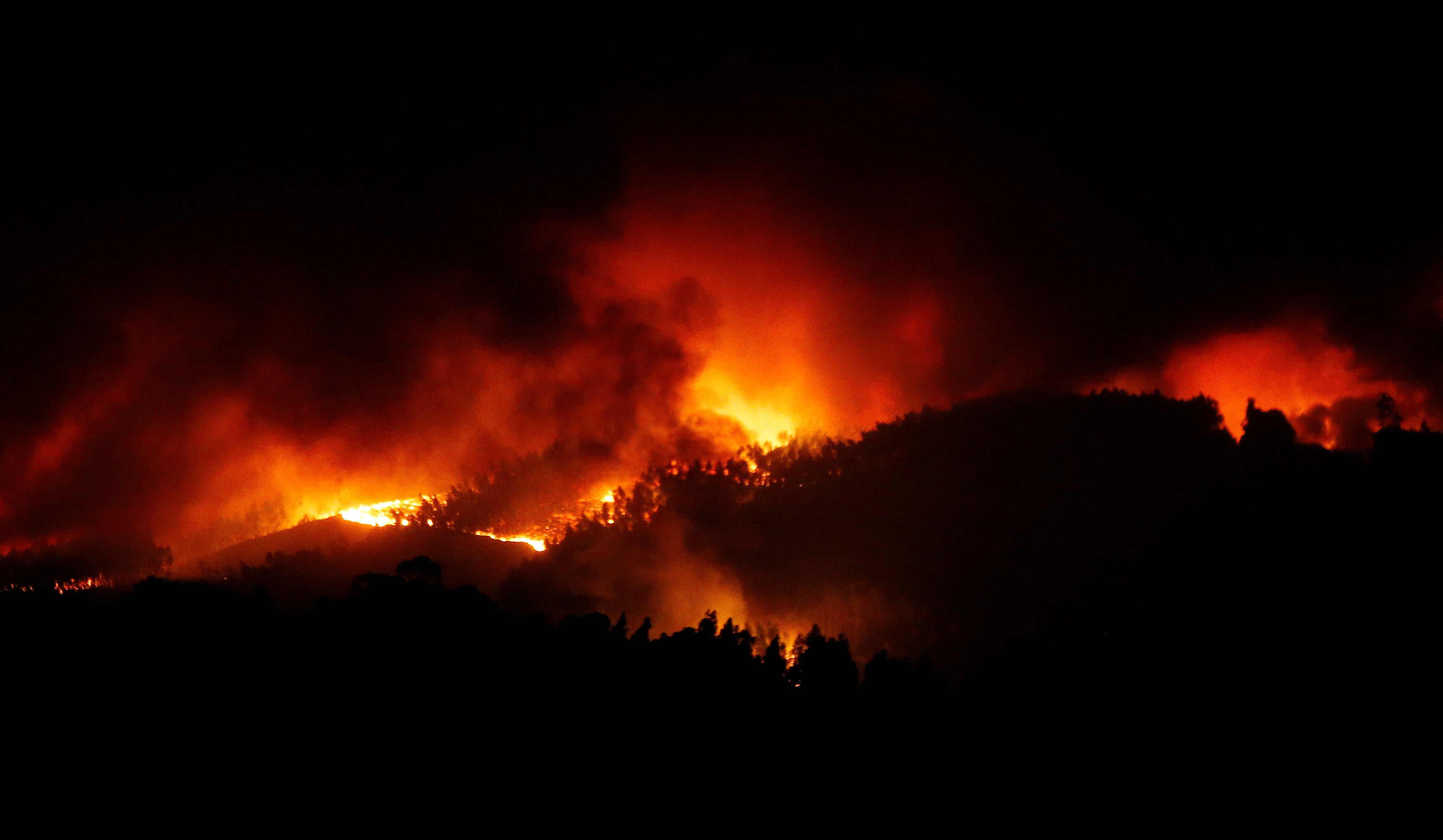 Raging forest fire in central Portugal kills at least 62 people - CBS News