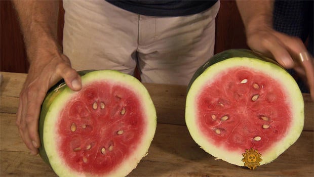 The return of an heirloom watermelon - CBS News