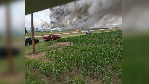 More than 100,000 chickens killed in egg farm fire, authorities say ...