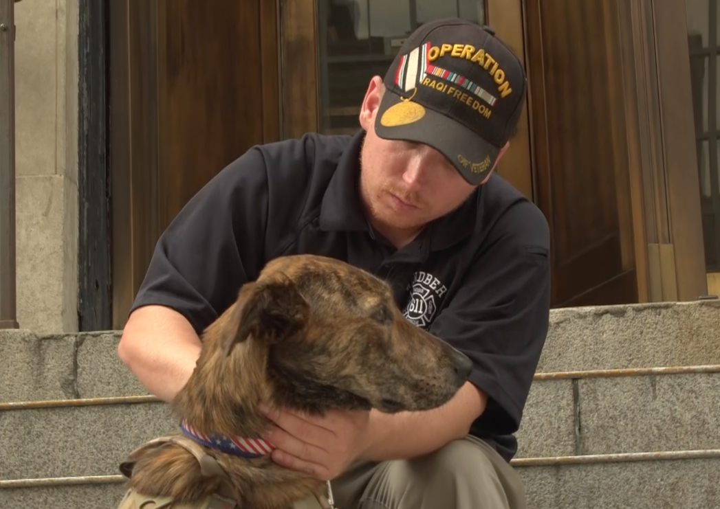 Iraq War veteran and PTSD service dog form instant bond - CBS News