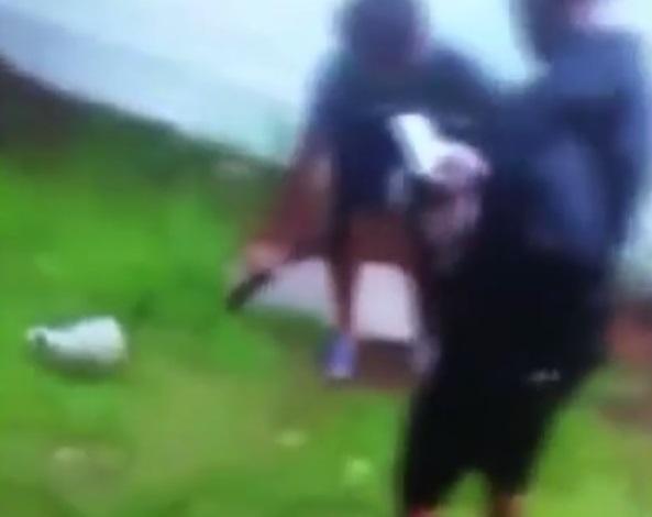 Snapchat video shows children using stun gun on kitten - CBS News