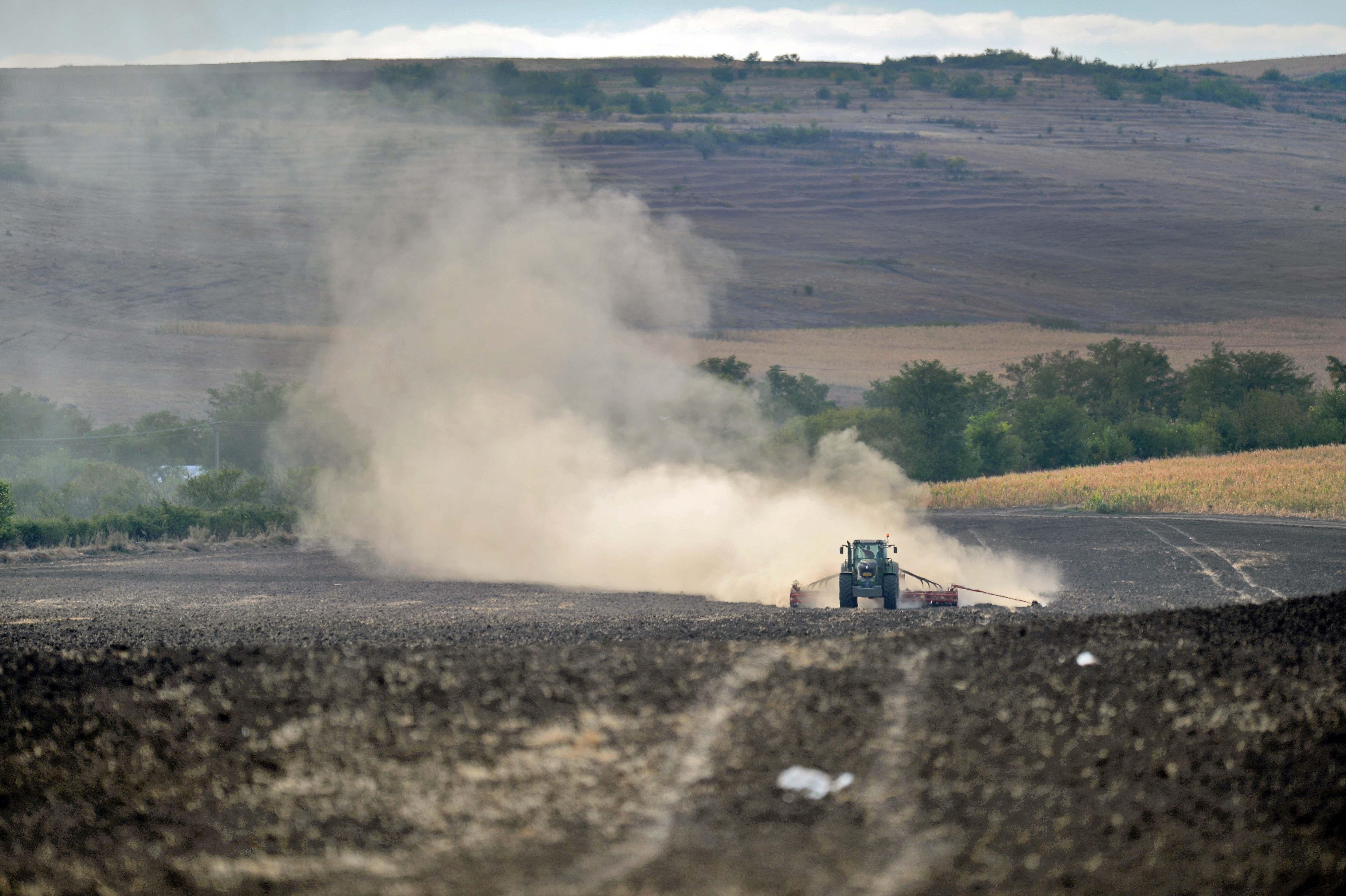 Millions at risk of protein deficiency as carbon emissions rise - CBS News