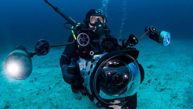 Nature up close: Filming nature - CBS News