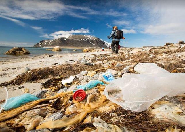Microplastics in Arctic Circle polluting ocean water with plastic waste ...
